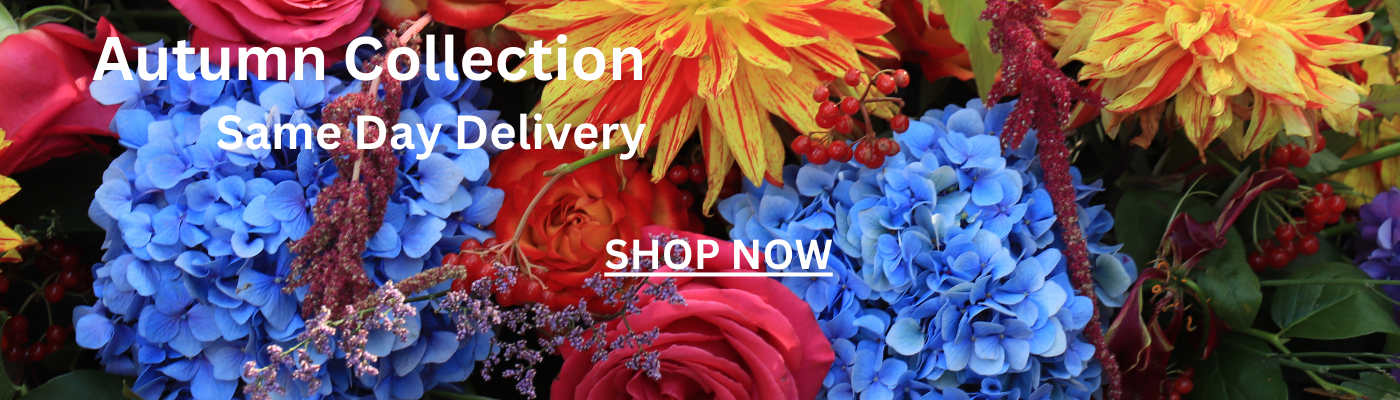 Flower Delivery Dublin, Same Day Delivery | Celines Flowers